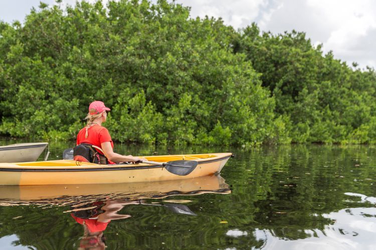 VISITAR el Parque Nacional de los Everglades | Megaguía