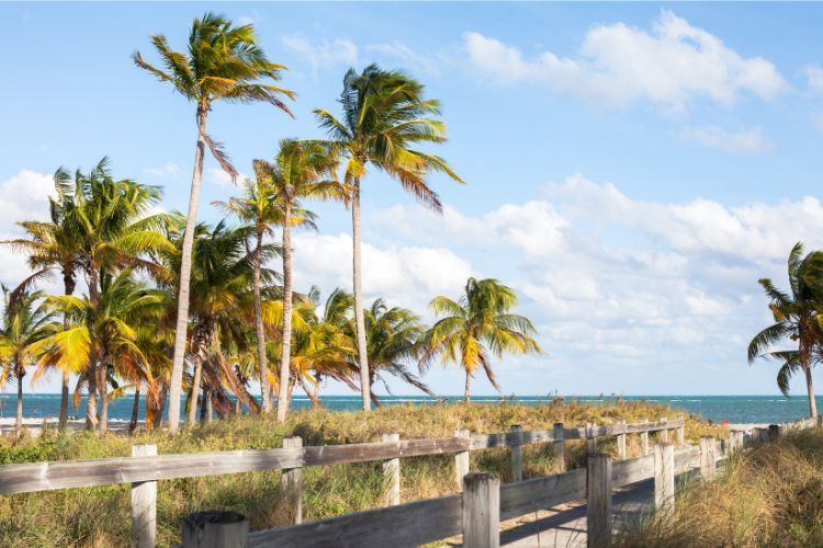 17 lugares que ver en Miami + Mapa | Lo mejor de la ciudad